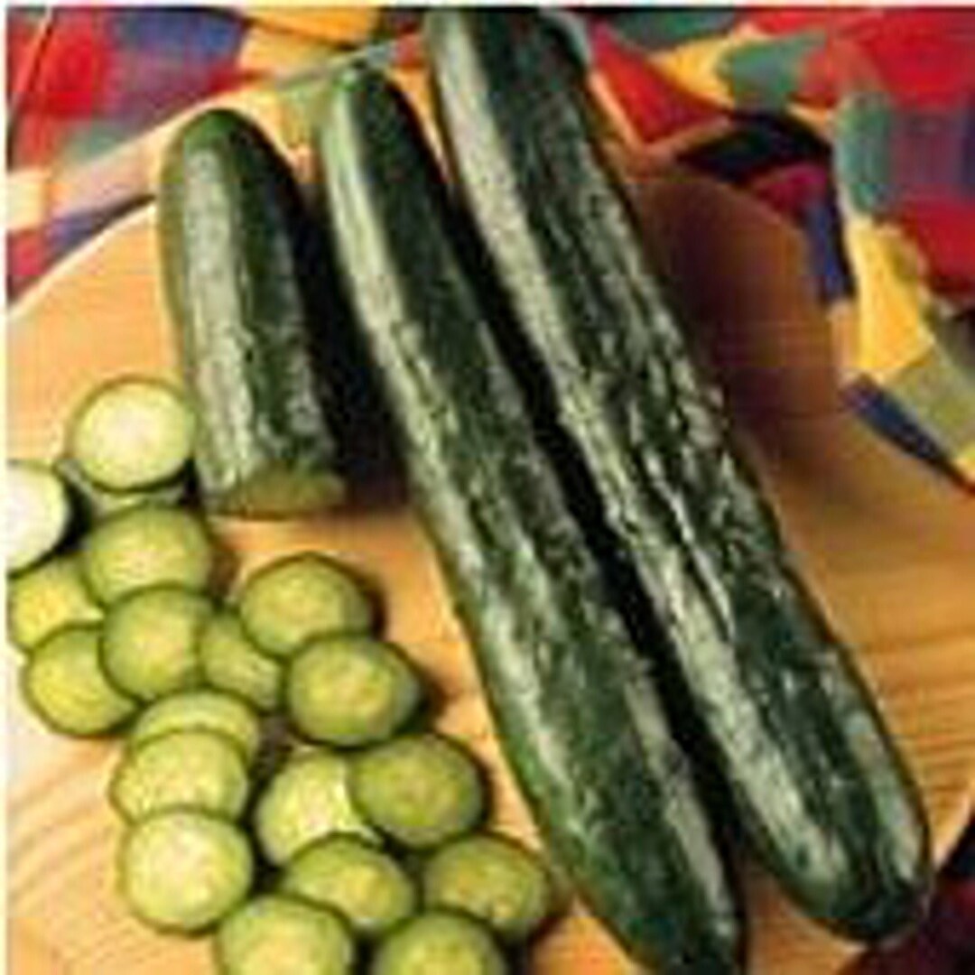Sweeter yet Cucumbers Seeds - Etsy