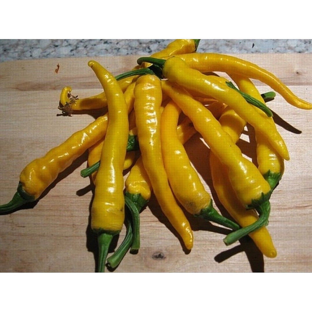 Numex Sunglow Hot Pepper Seeds - Etsy