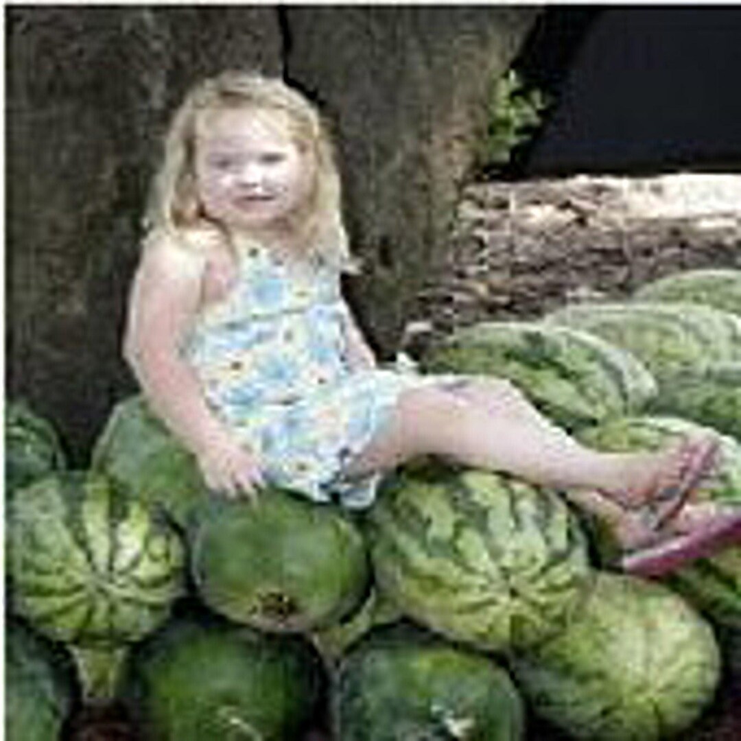 Tom Watson Watermelons Seeds - Etsy