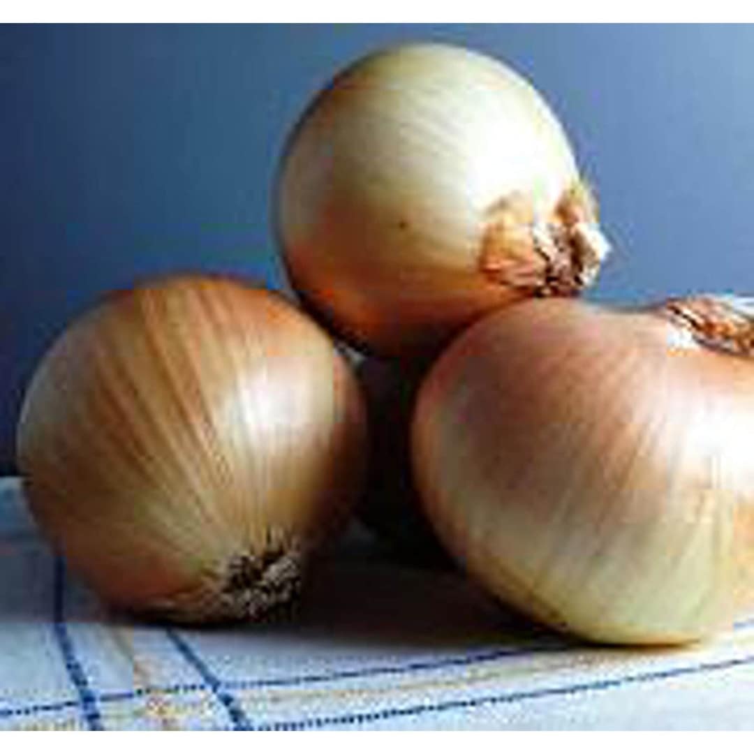 Yellow Granex Onions Seeds - Etsy