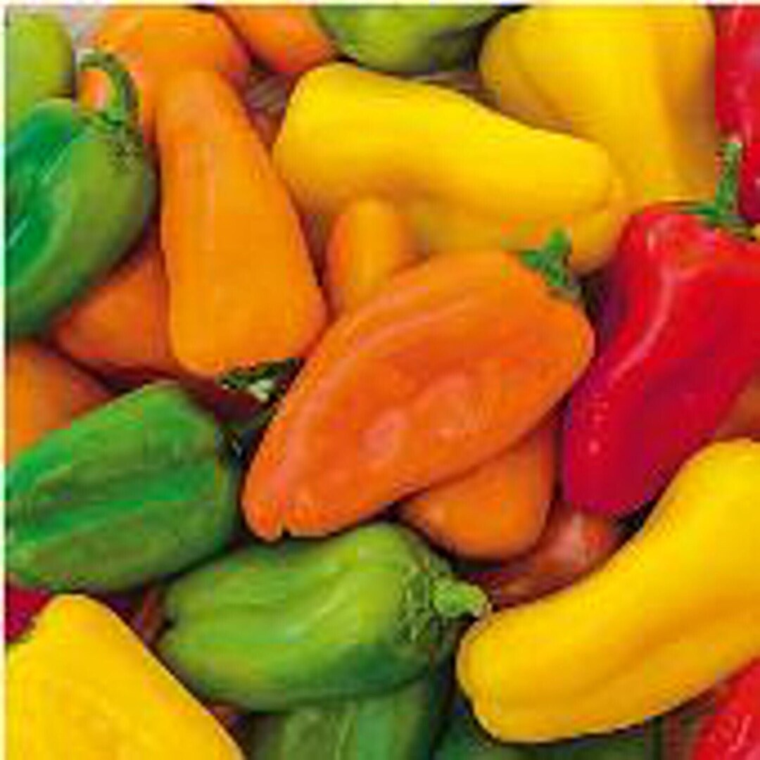 Yum Yum Mix Sweet Peppers Seeds - Etsy