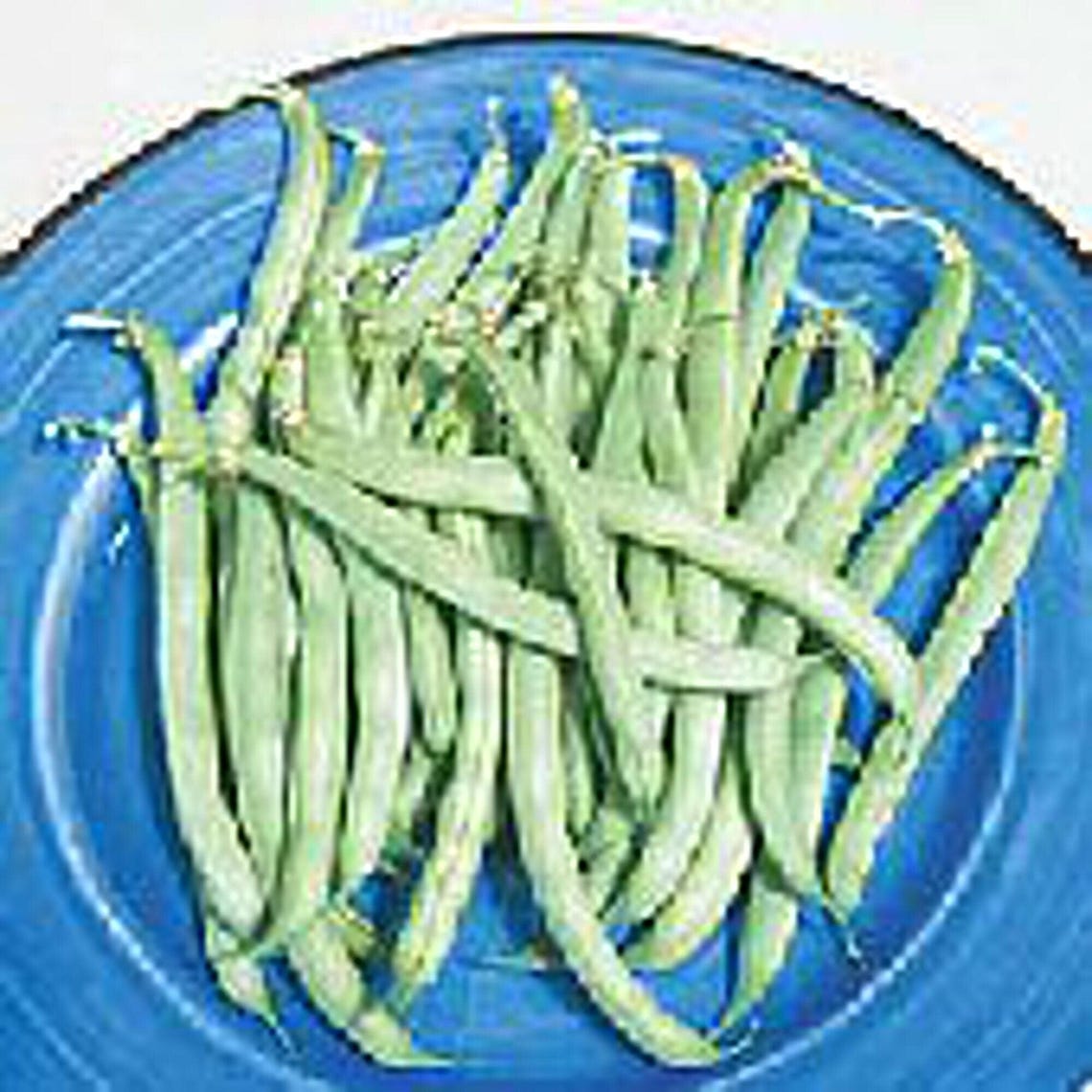 Burpee Stringless Green Pod Bush Beans Seeds - Etsy