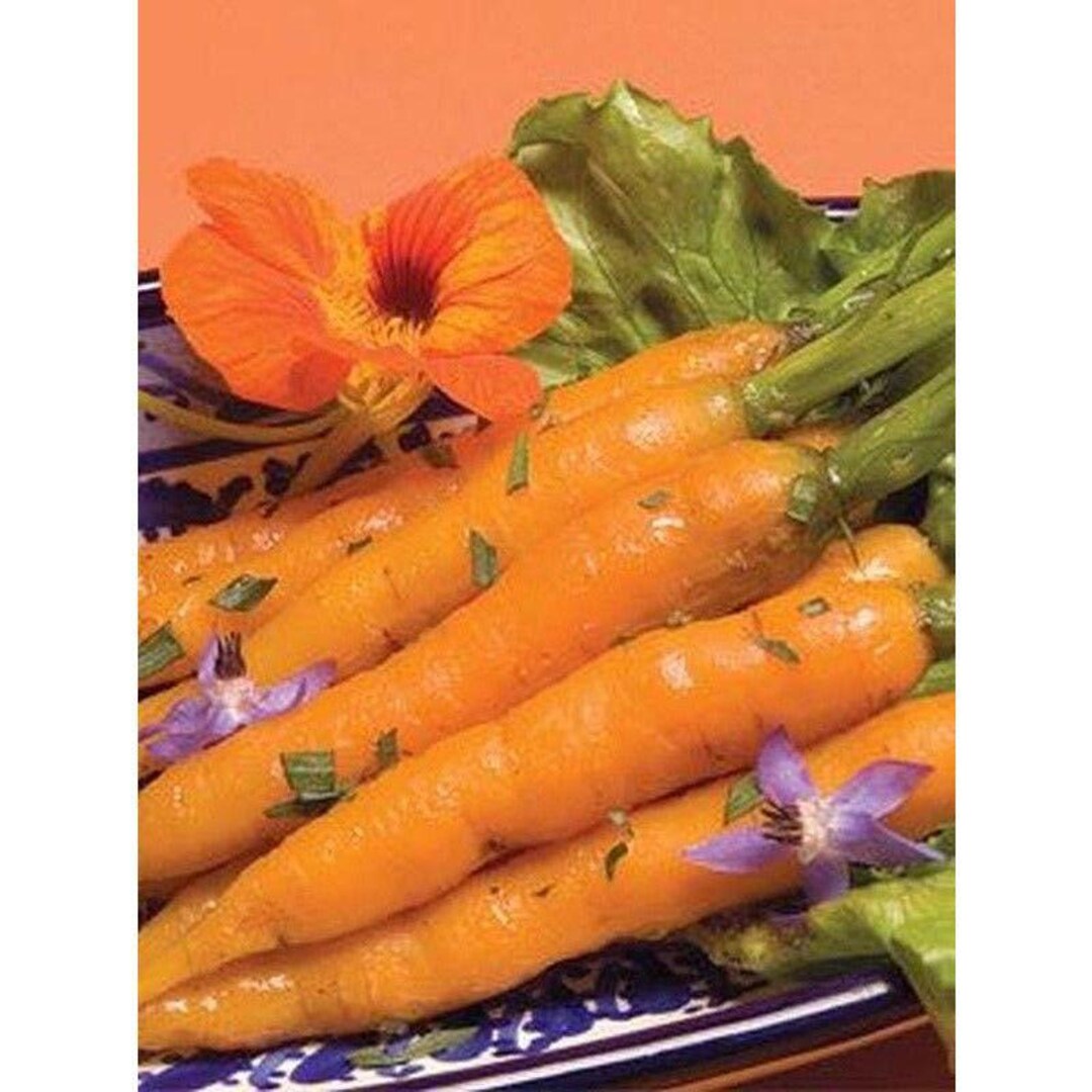 Minicor Carrot Seeds - Etsy