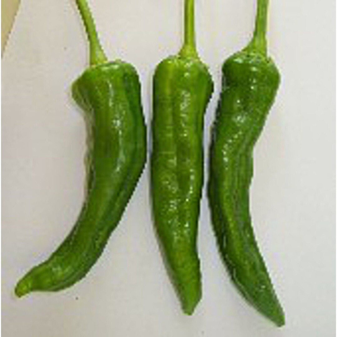 Numex Barker's Hot Peppers Seeds - Etsy