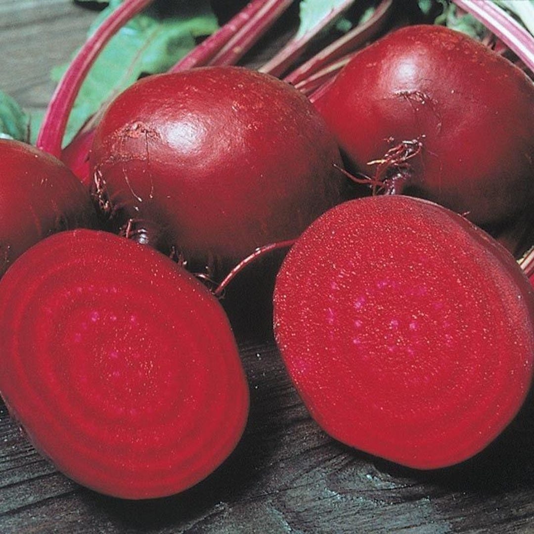Perfected Detroit Beet Seeds - Etsy
