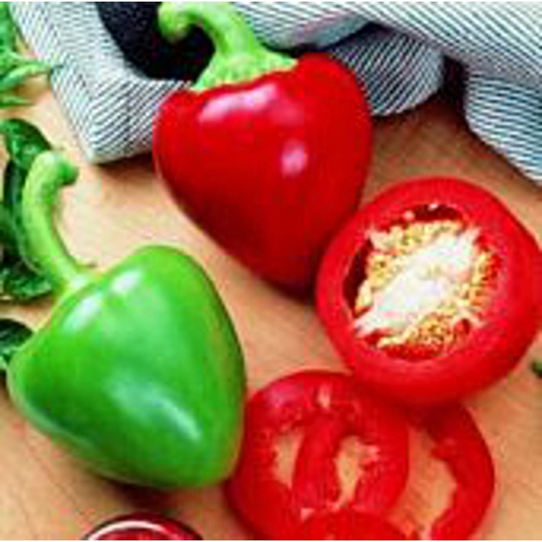 Pimento Elite Sweet Peppers Seeds - Etsy