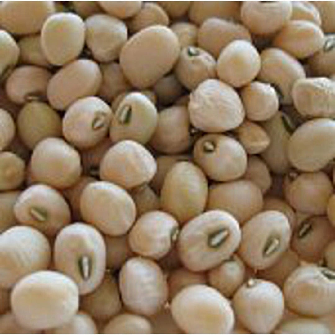 Lady Cowpeas Seeds - Etsy