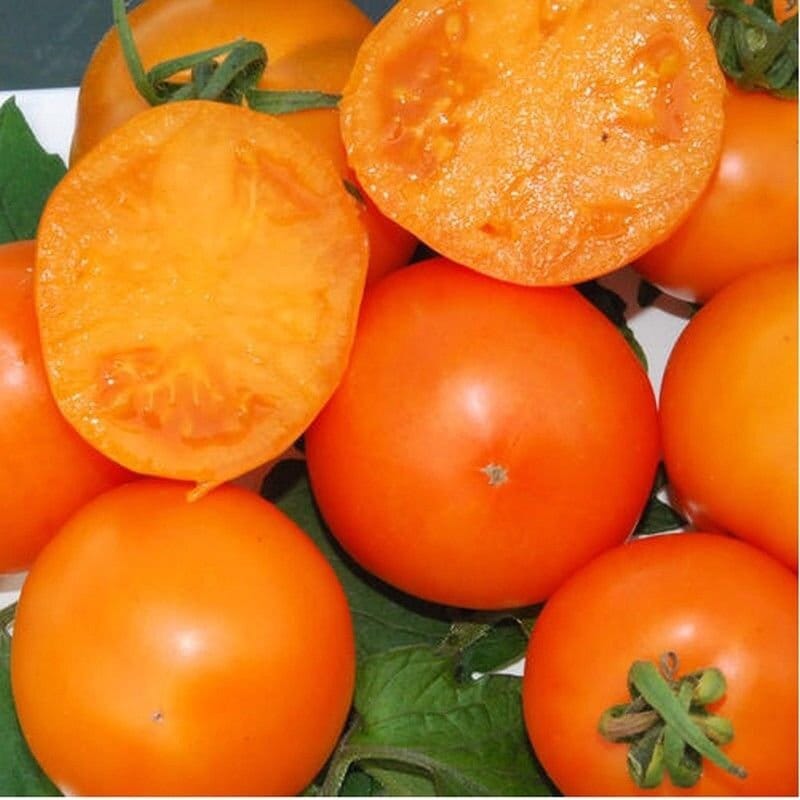Mandarin Tomato Seeds - Etsy
