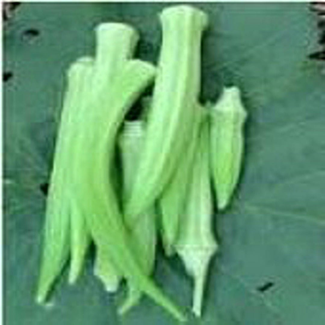Fife Creek Cowhorn Okra Seeds Etsy