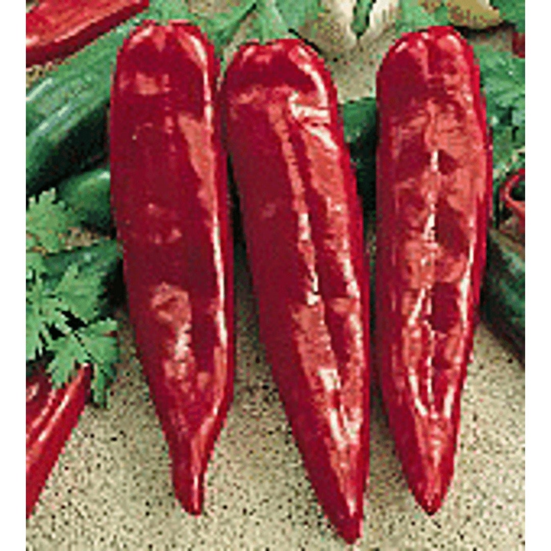Numex Mesa Hot Peppers Seeds - Etsy