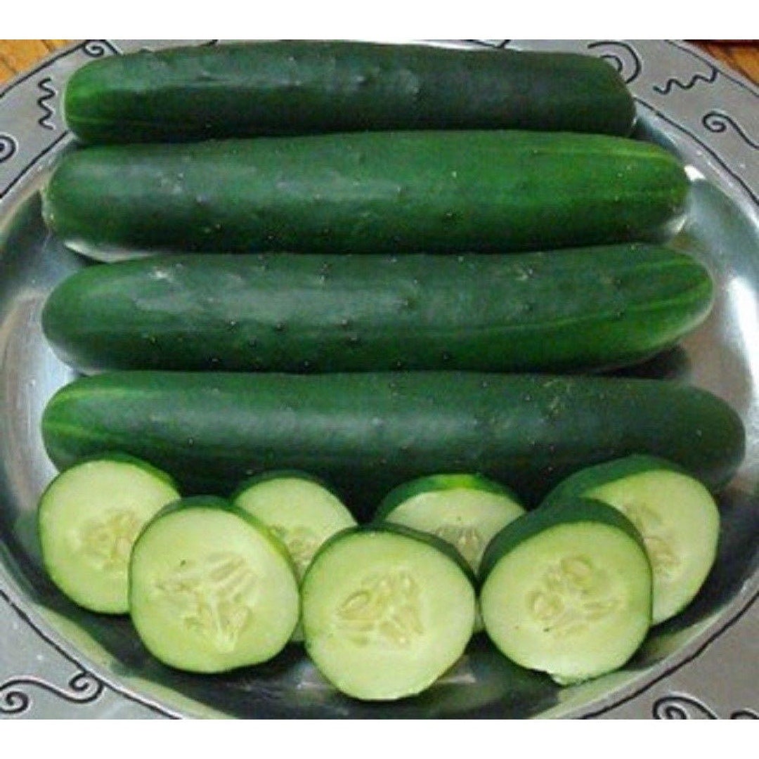 Mongoose Hybrid Cucumber Seeds - Etsy
