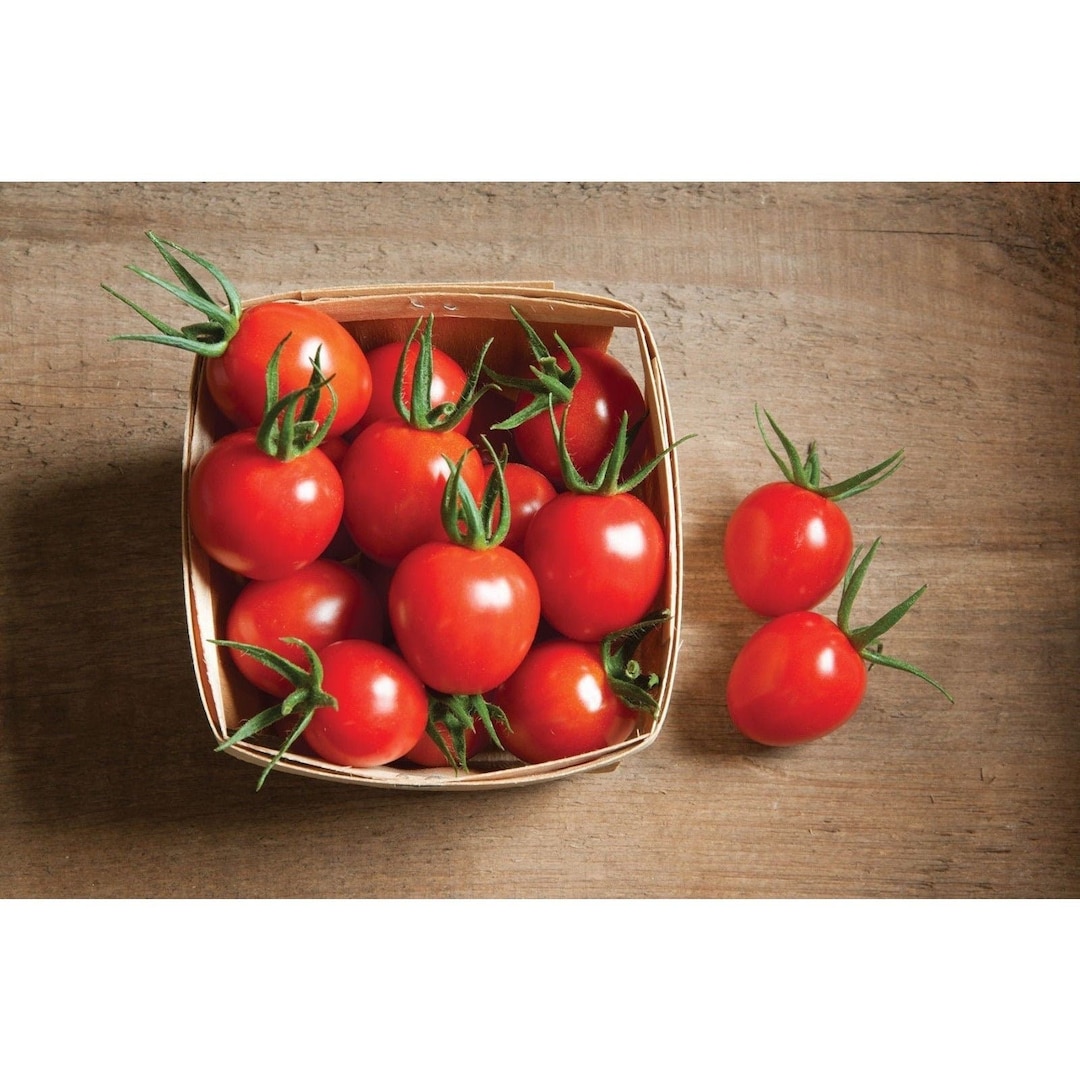 Cherry Bomb Organic F1 Hybrid Tomato Seeds - Etsy