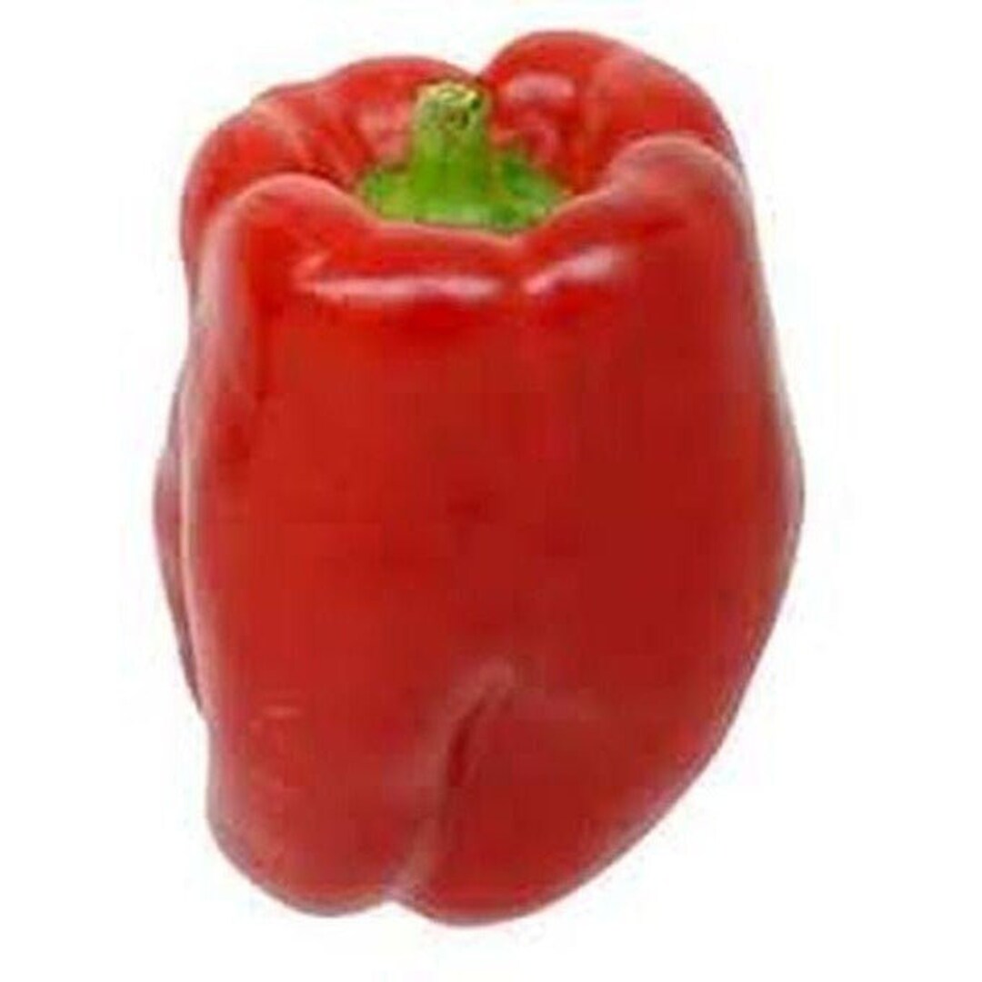 Chinese Giant Red Bell Pepper Seeds - Etsy