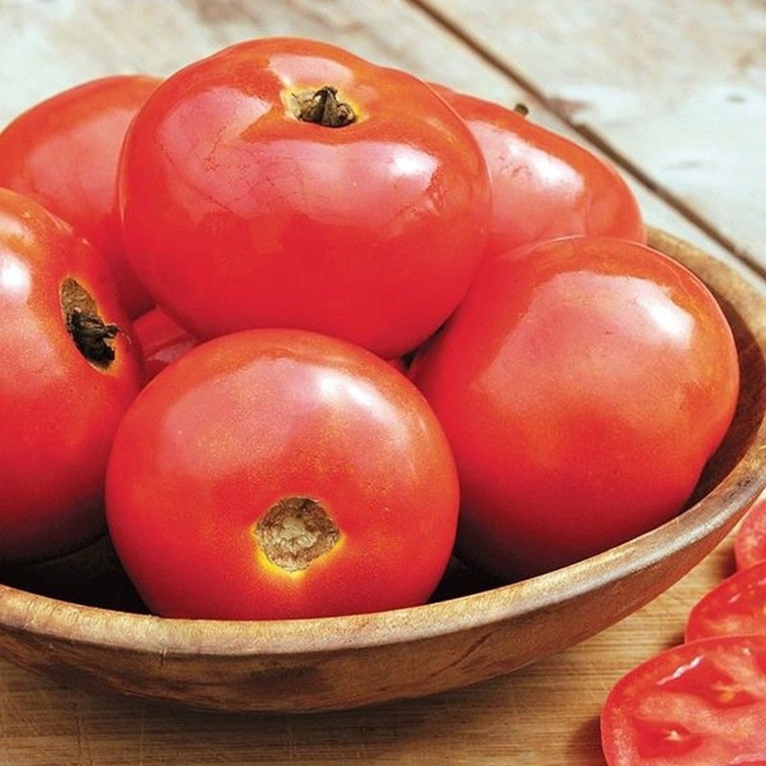 Iron Lady F1 Hybrid Tomato Seeds - Etsy