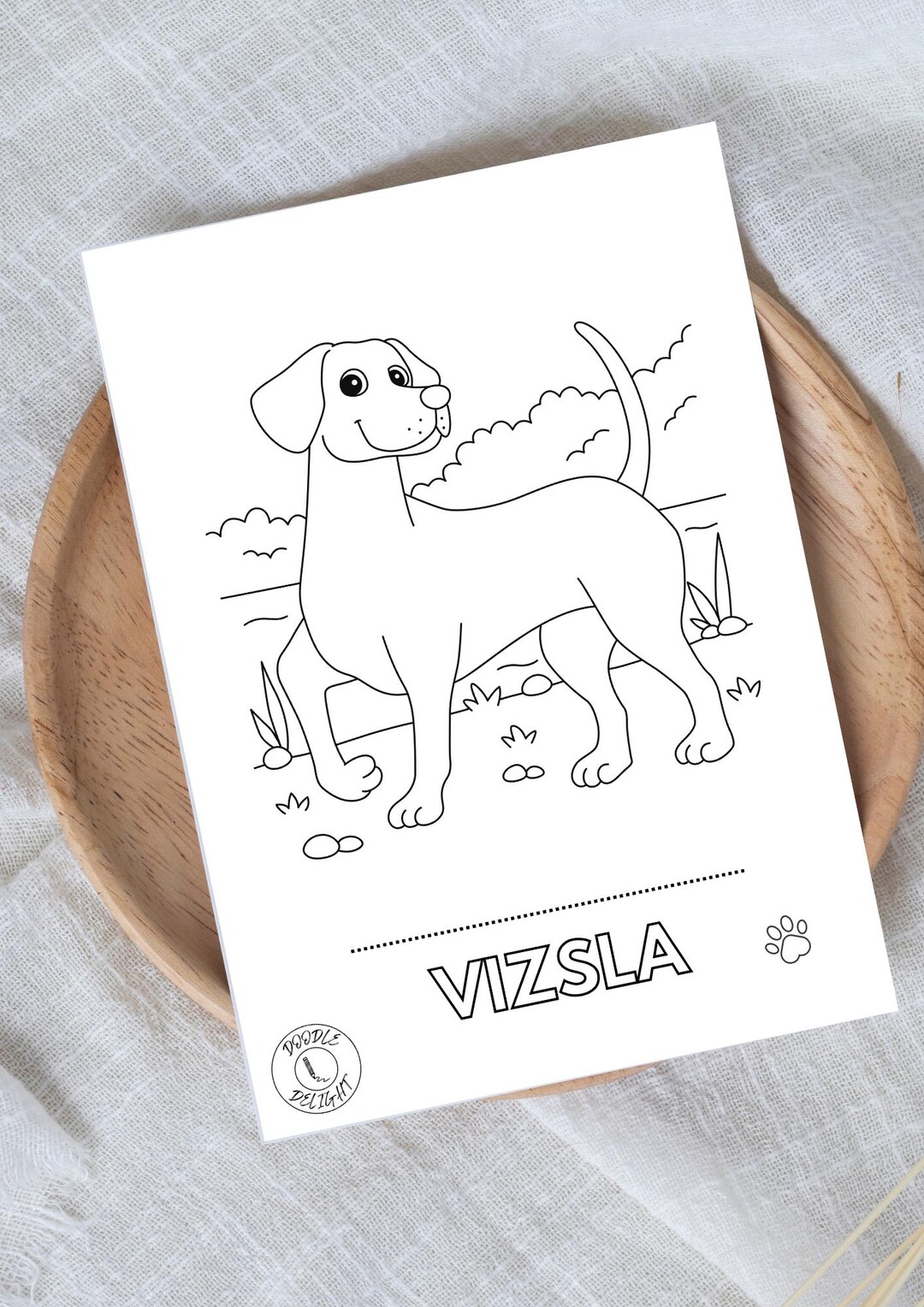 Colouring in Sheet Dog Breeds Vizsla - Etsy
