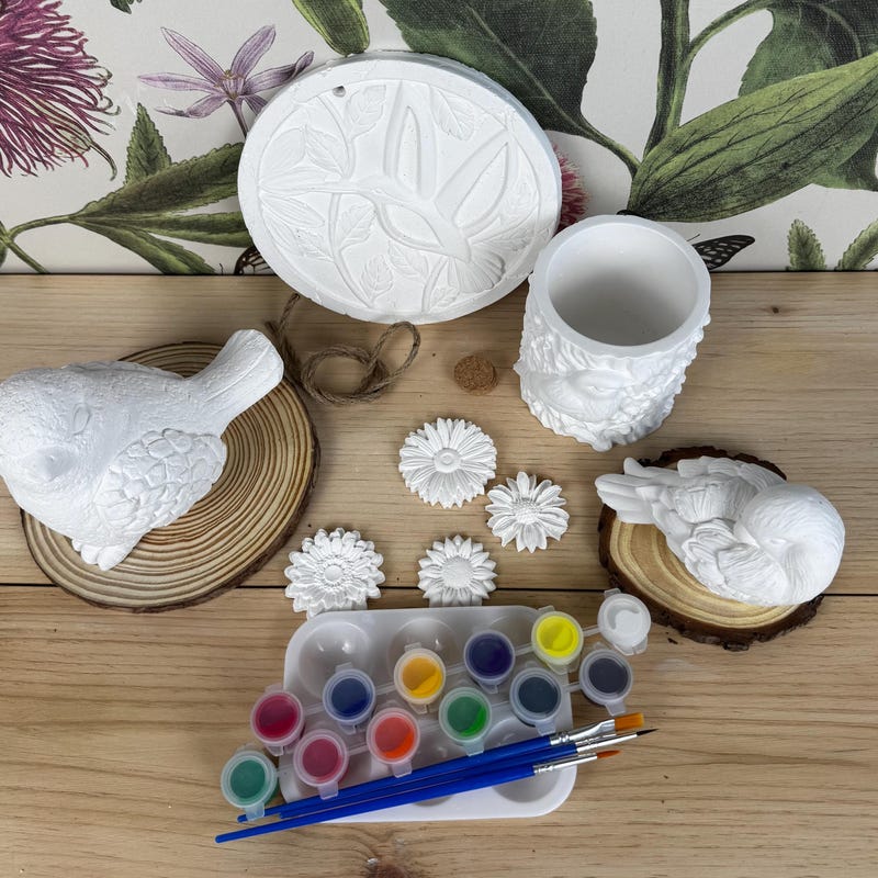 Bird Model Paint Kit - Etsy UK