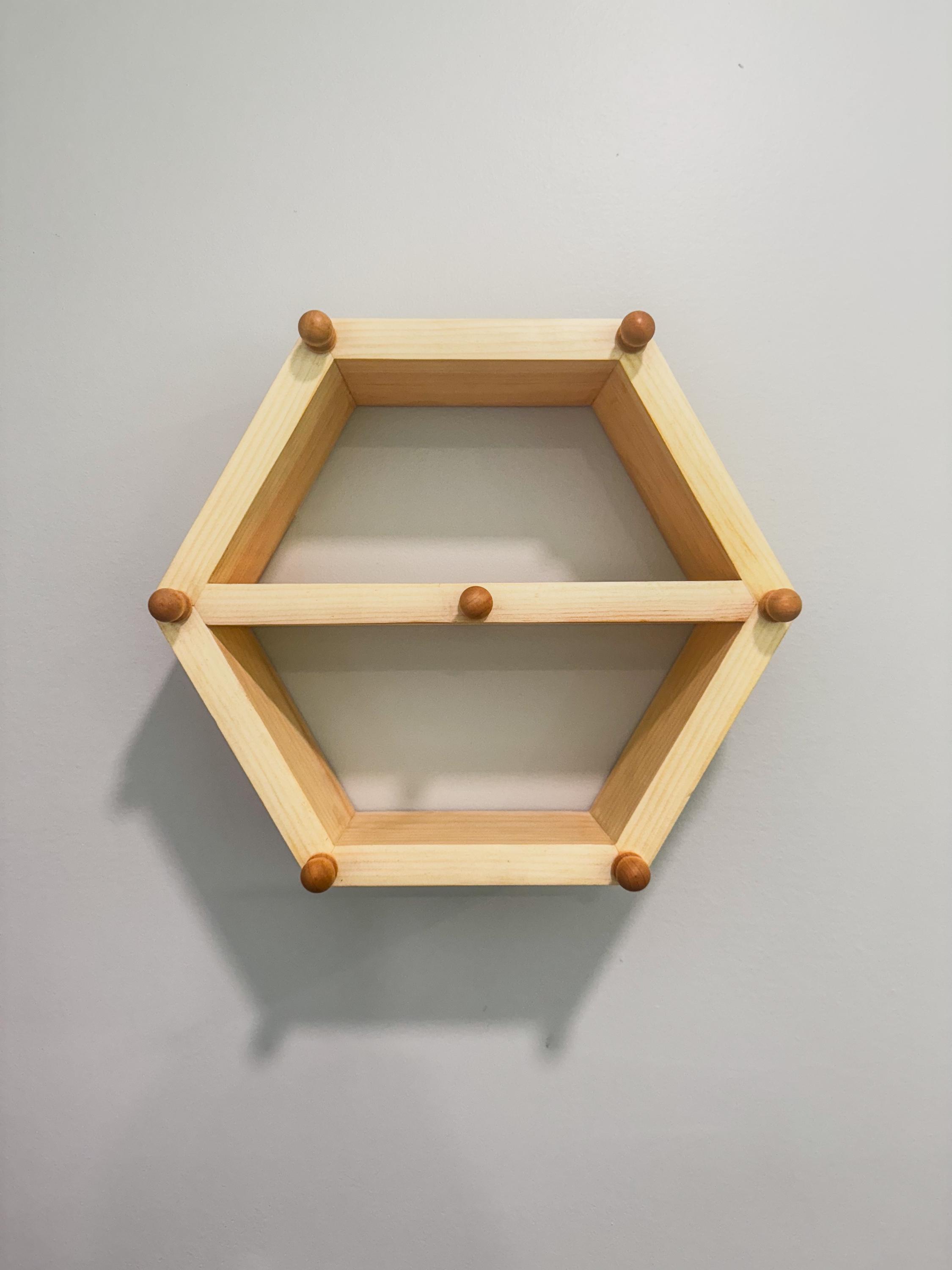 Handmade Labubu Honeycomb Collectible Display Floating Shelf - Works ...