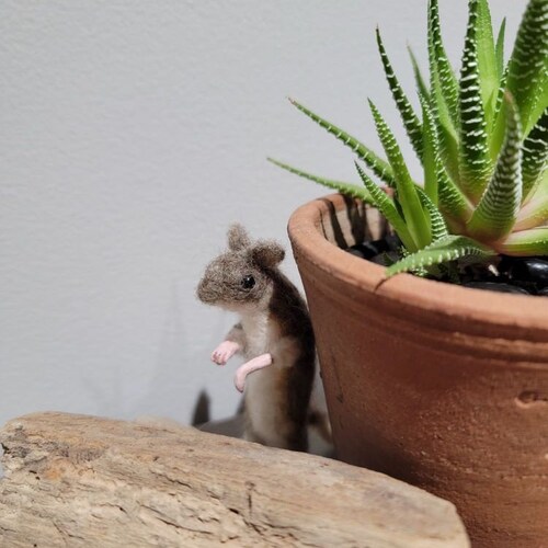Needle Felted Life Size Mouse Brown Mouse Mouse Statue - Etsy