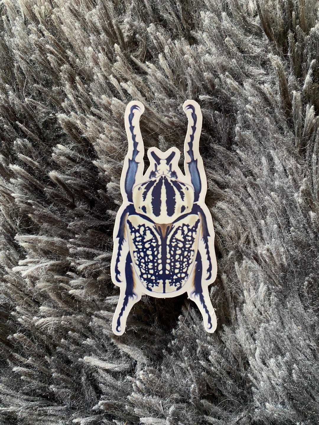 Giant Goliath Beetle Sticker:) - Etsy
