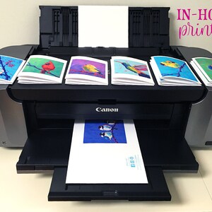 Insect Note Cards, Bug Note Cards Set of 6, Insect Stationery Set ...