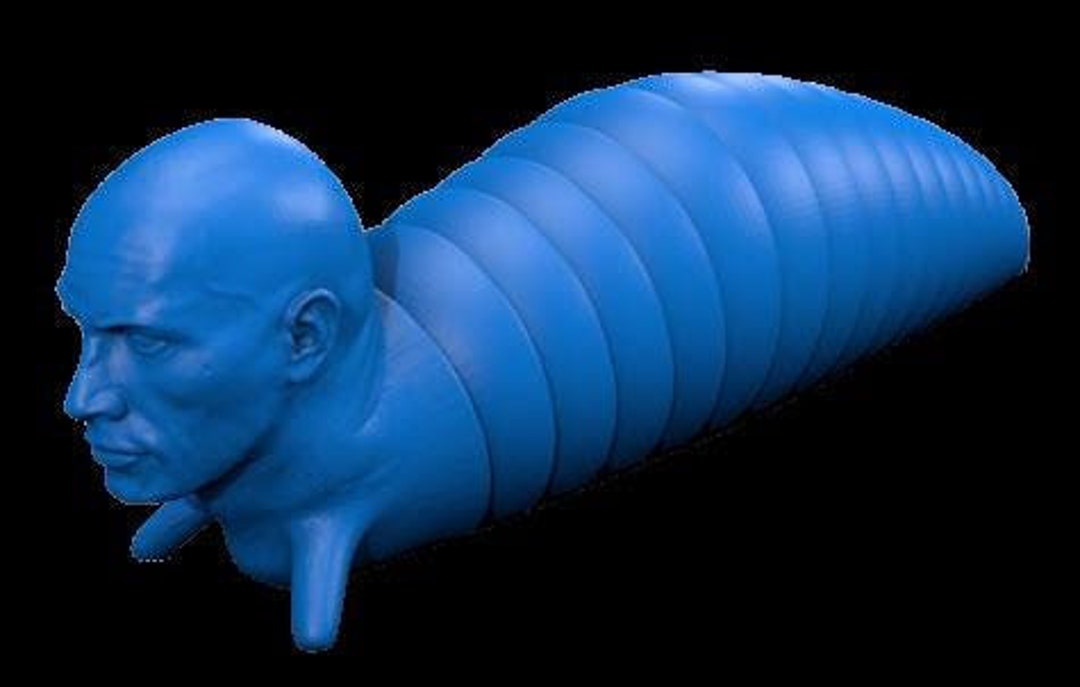 Rock Fidget Slug Toy Fidget Toy - Etsy