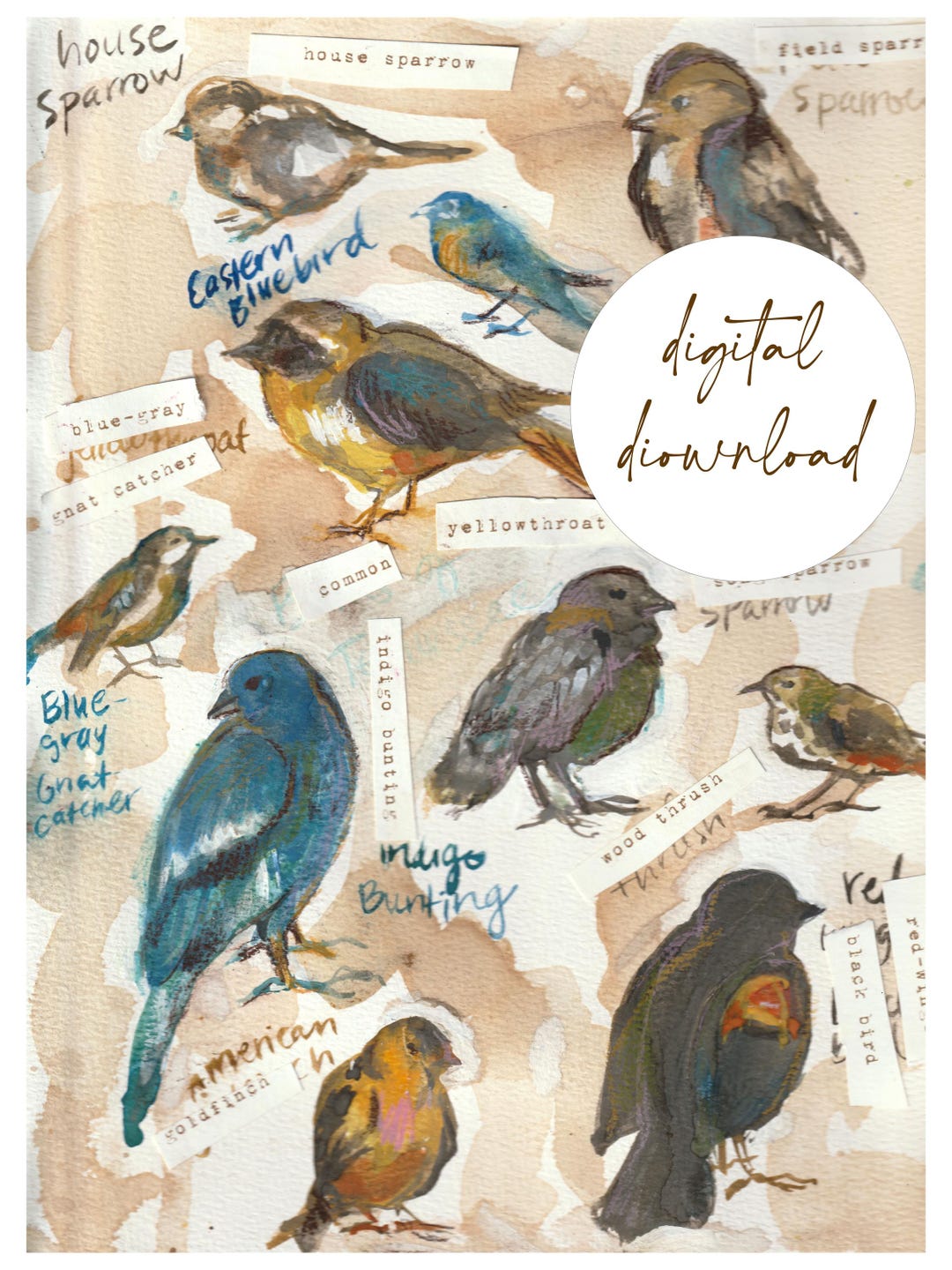 PRINT Digital Download, Instant Download, Bird Chart, Bird Decor, Birds ...