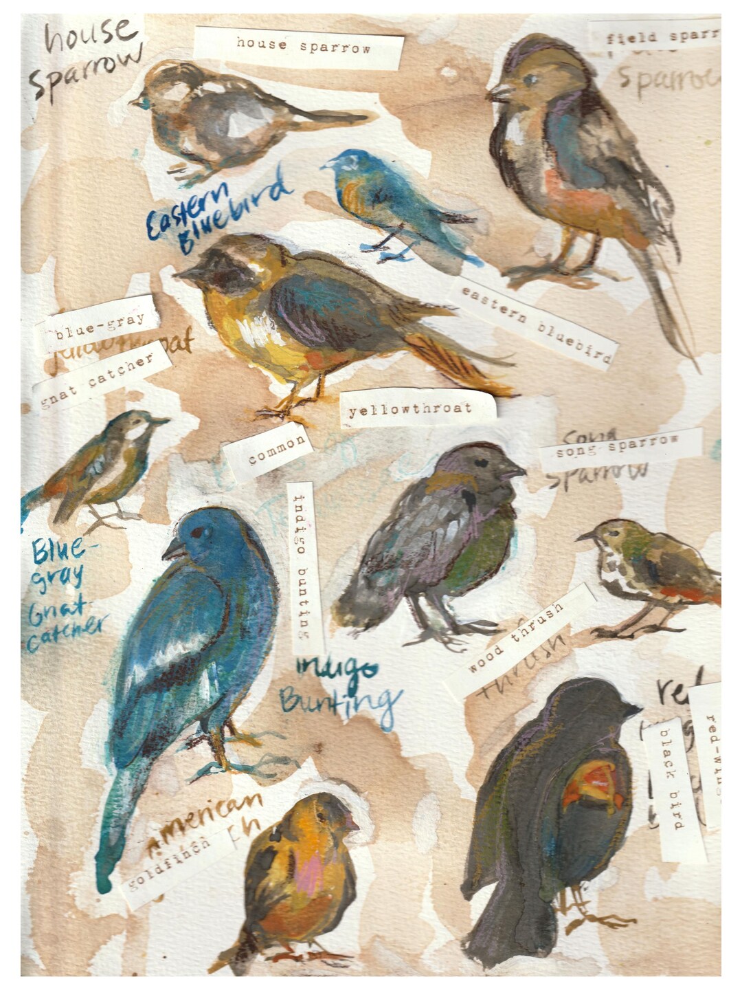 Tennessee Bird Chart, Watercolor Birds, Thrush Bird, Wild Birds, Wild ...