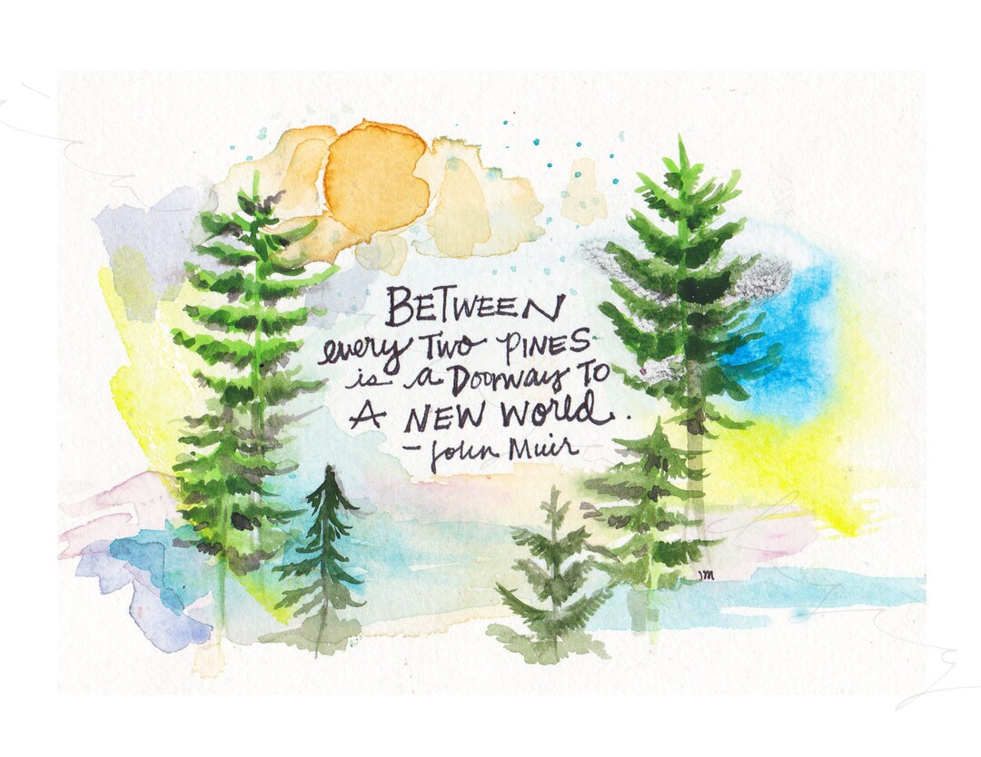 John Muir Painting, Pine Tree Art, Pine Tree Love, Pine Tree, John Muir ...