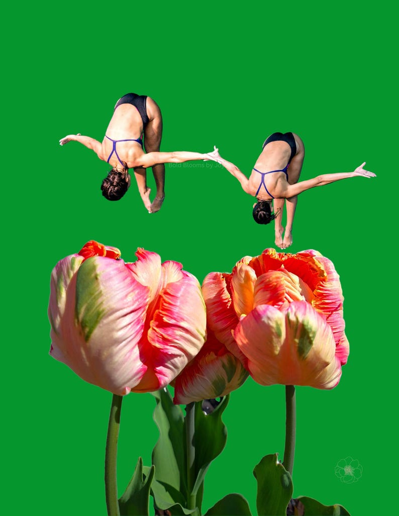 Original Tulip Flower Photography With Divers Surreal Fun Sporty ...