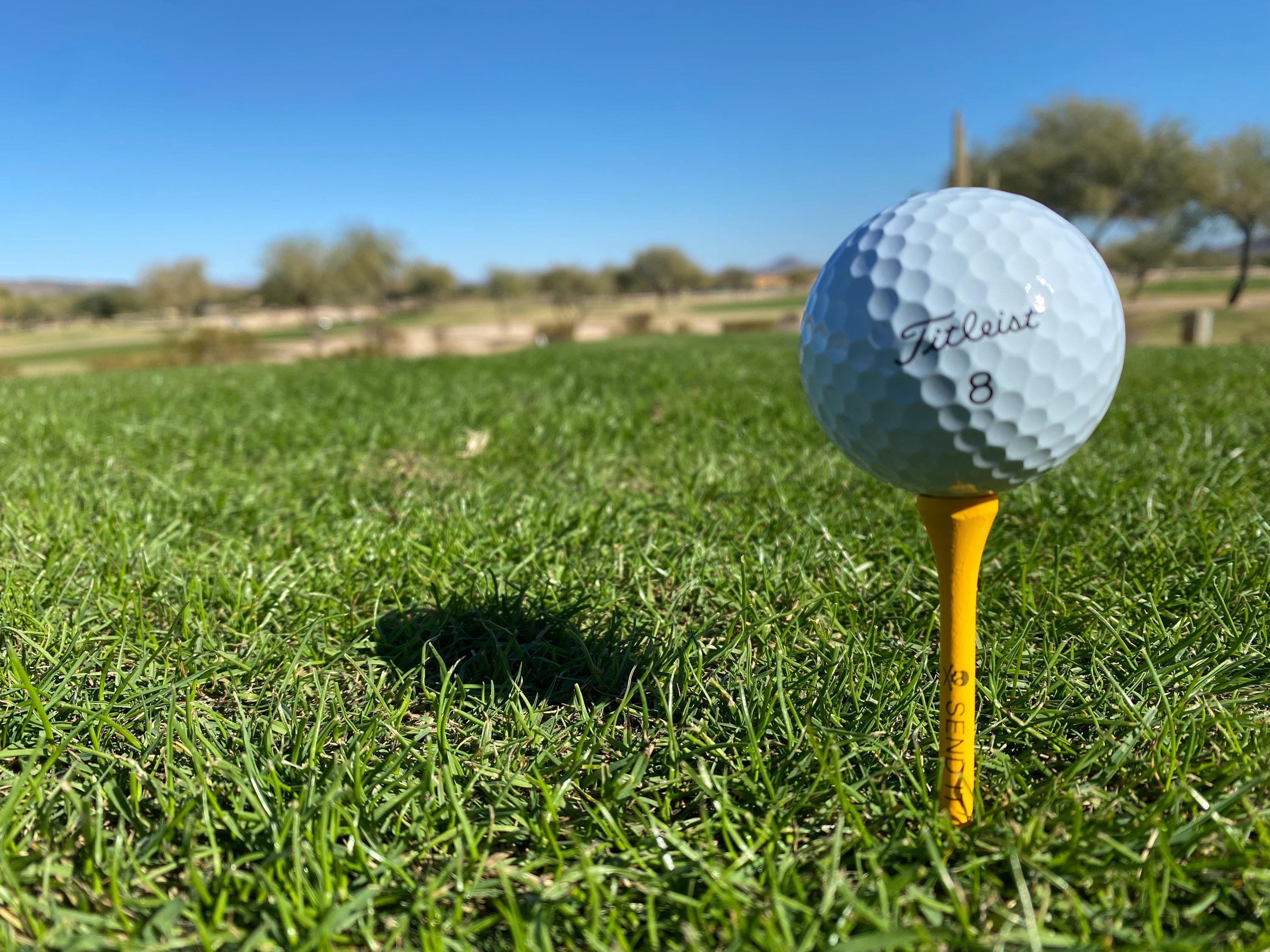 100 - 2 3/4'' - Be the Danger/send It - Bamboo Golf Tee - Etsy
