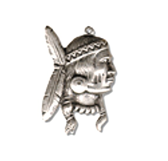 Native American Warrior Profile