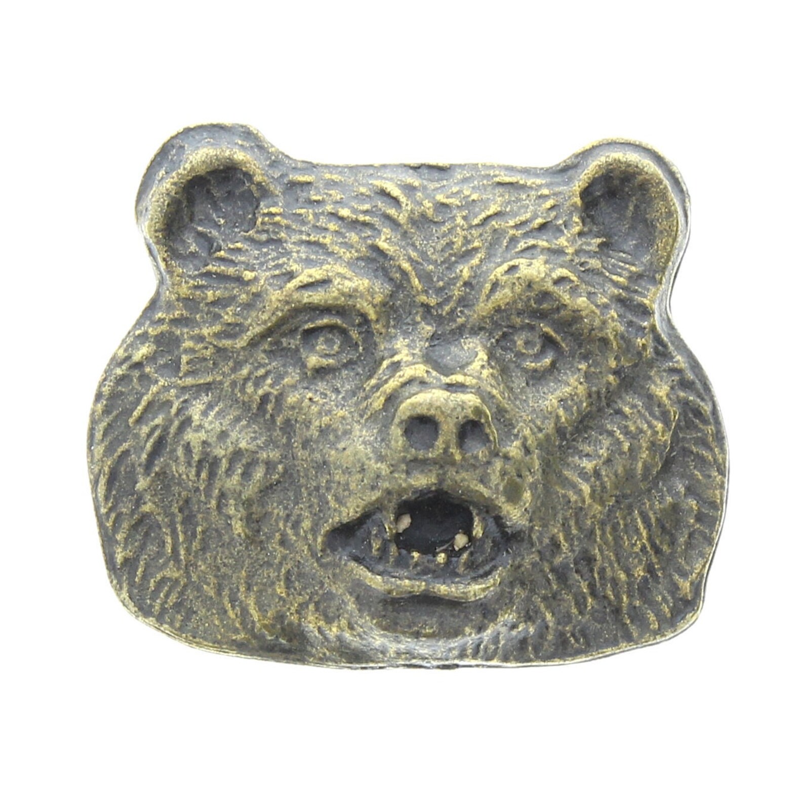 28mm Grizzly, Kodiak, Black or Brown Friendly Bear Head With Immaculate ...