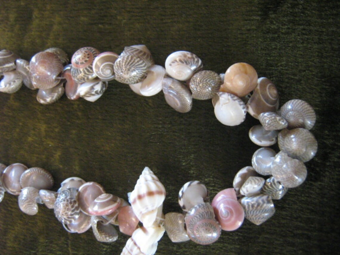 Antique Vintage Nautical Shell Necklace Hand Tied Vintage - Etsy