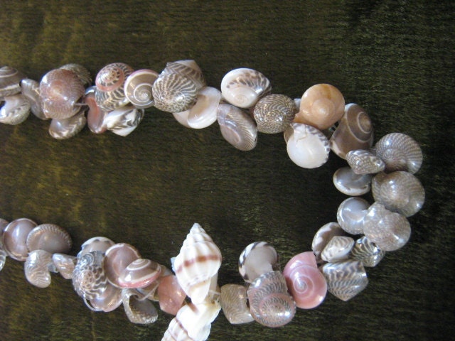 Antique Vintage Nautical Shell Necklace Hand Tied Vintage - Etsy