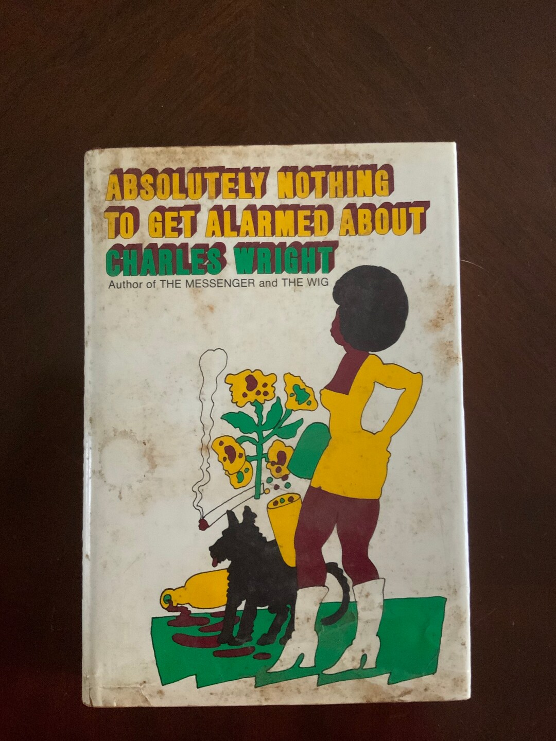 1973 First Edition Book Absolutely Nothing to Get Alarmed About by ...