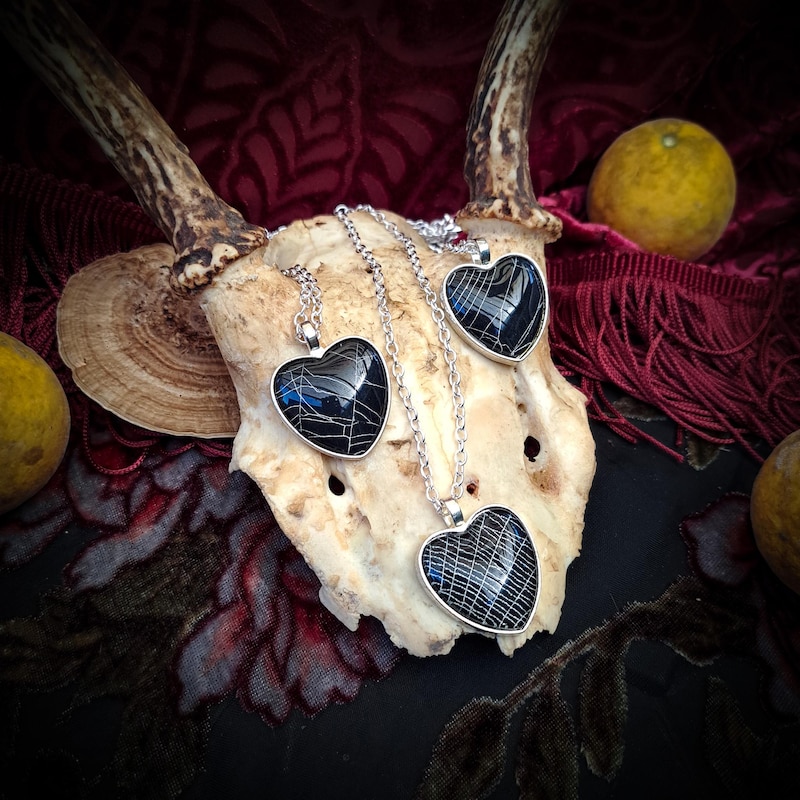 Real Spider Heart - Etsy