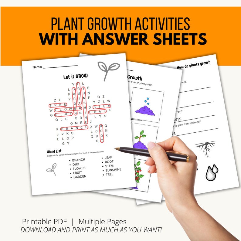Plant Growth Activities Packet for Early Elementary Schoolers - Word ...