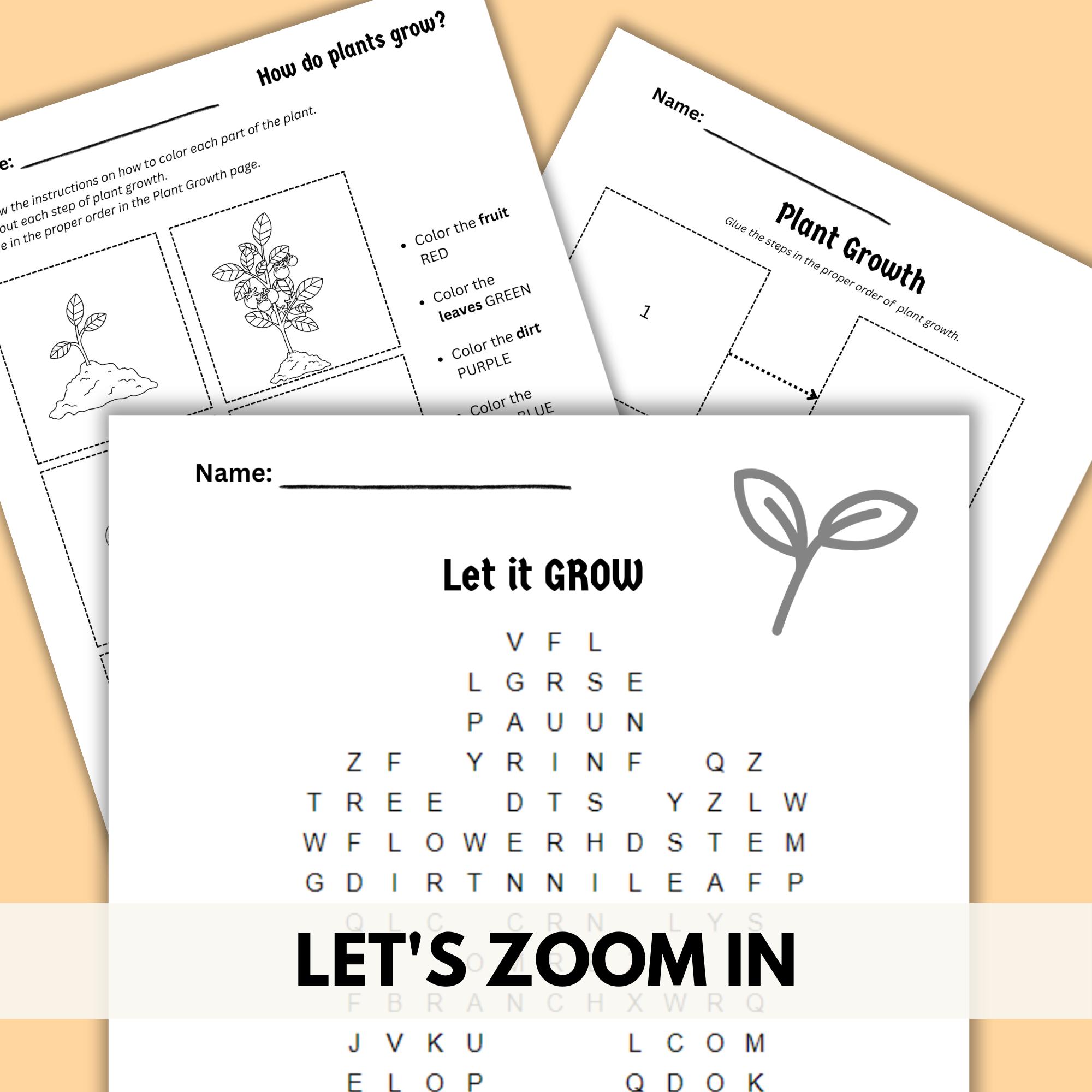 Plant Growth Activities Packet for Early Elementary Schoolers - Word ...