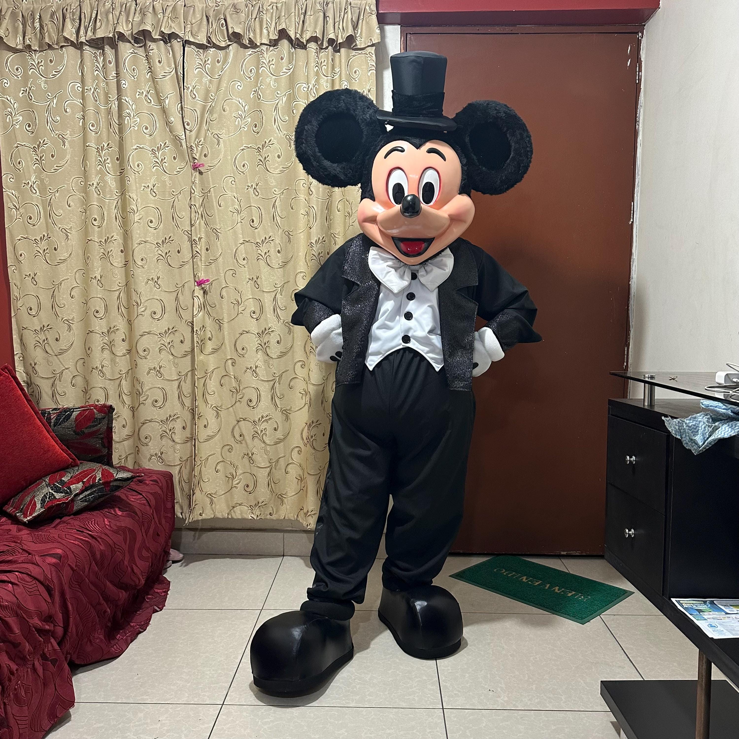 Mouse Costume Mascot Fiberglass Head Party Event Halloween Events ...