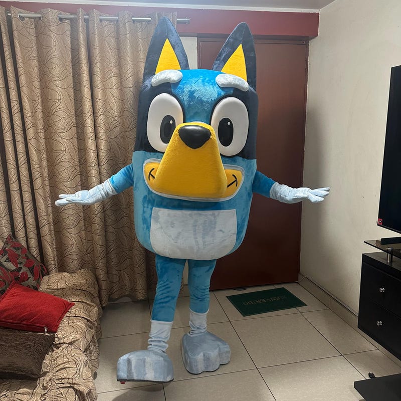 Bluey Mascot Costume - Etsy