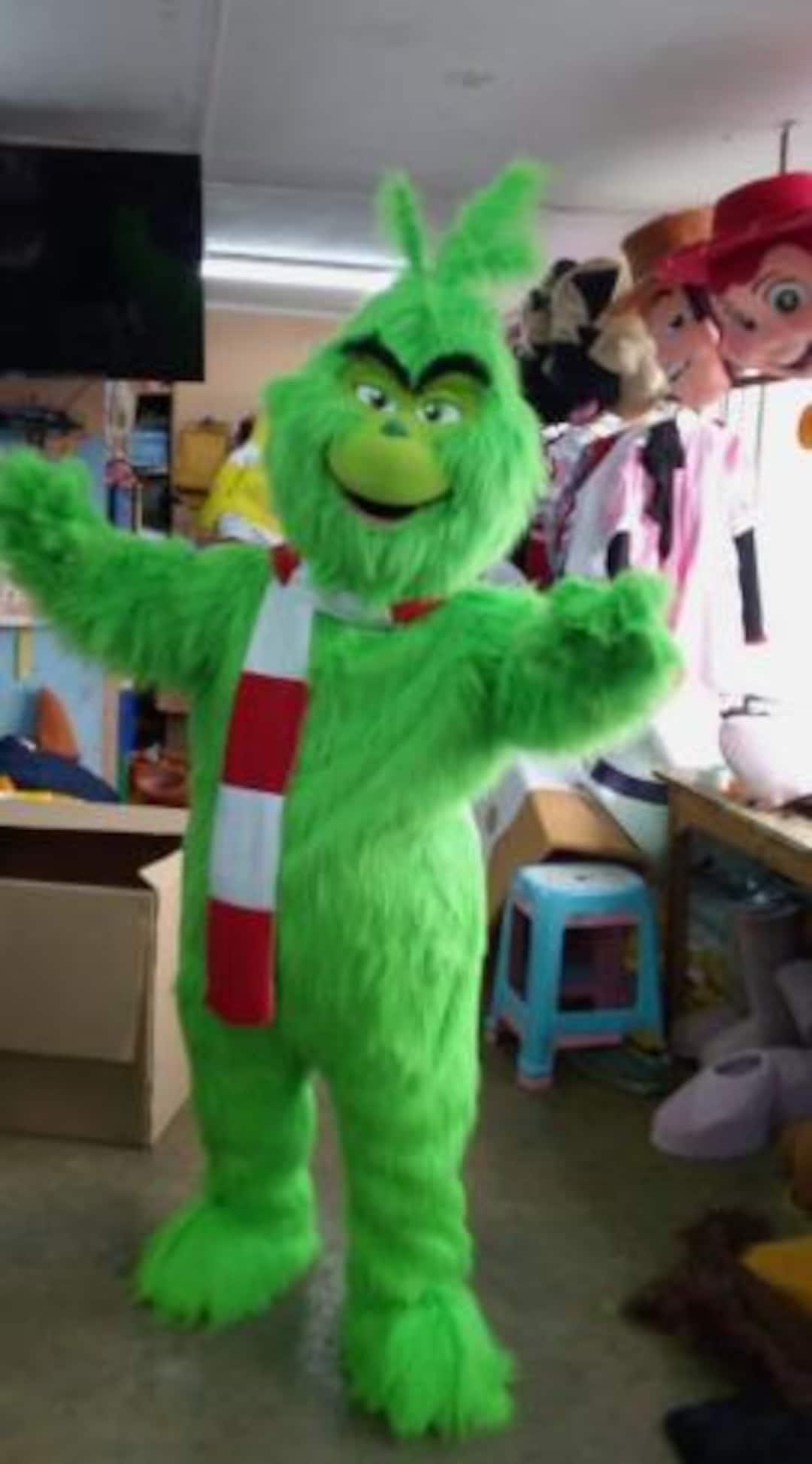 Grumpy Green Mascot Costumes, Mascots Party Event Halloween Events Parties Botarga Shows - Etsy