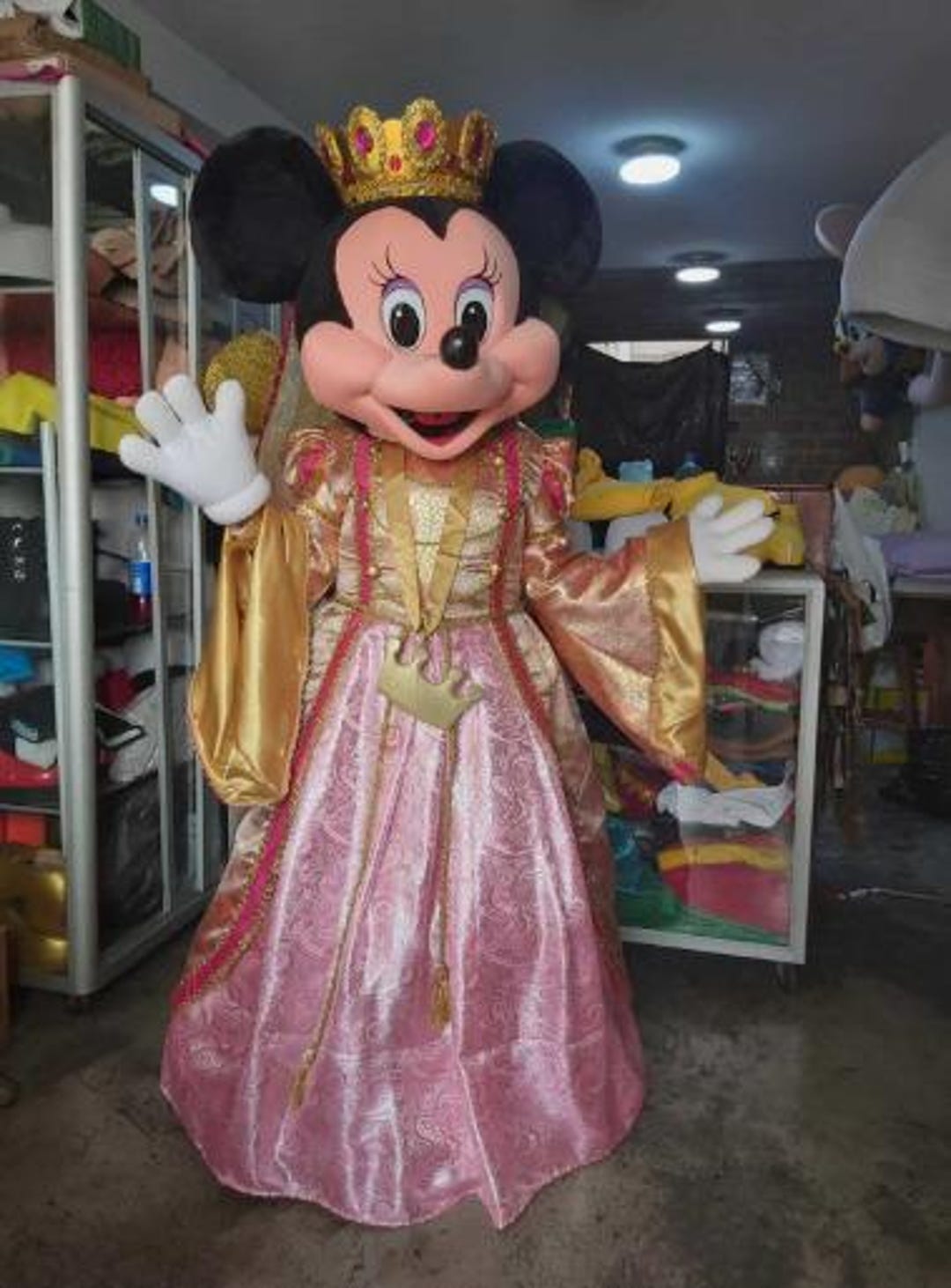 Princess Mouse Halloween Costume Mascot Party Event Halloween Events ...