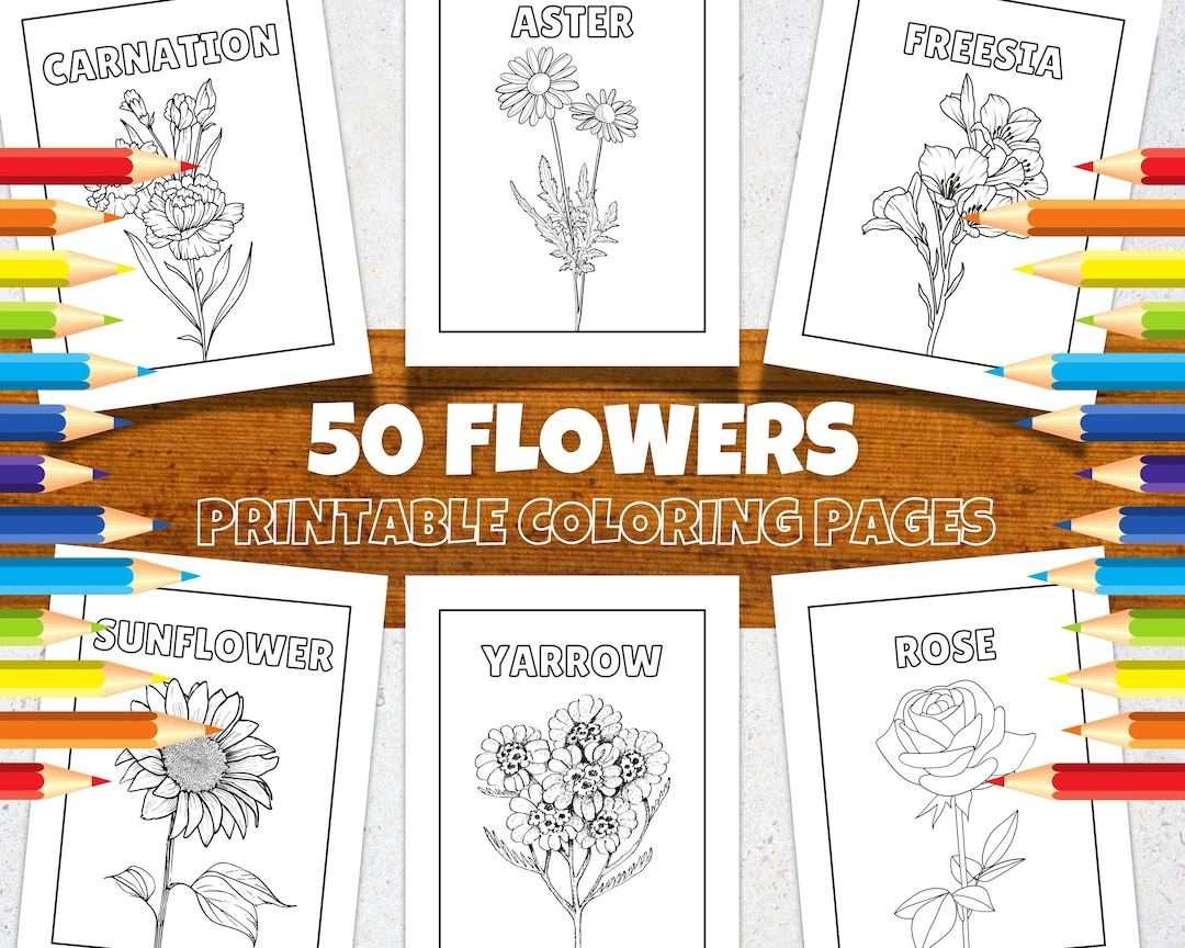 85 Flowers Vocabulary Words Printable Coloring Pages for Kids, Toddlers ...