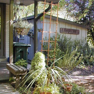 Men's Bee Tank Top, Queen Bee Screen Print, Army Green Bee Tank Top ...