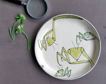 pottery with hand drawn birds insects praying by catherinereece