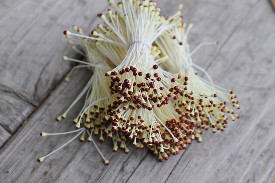 Five Bunches Cocoa Tipped Stamen Vintage Old Stock Millinery Bears ...