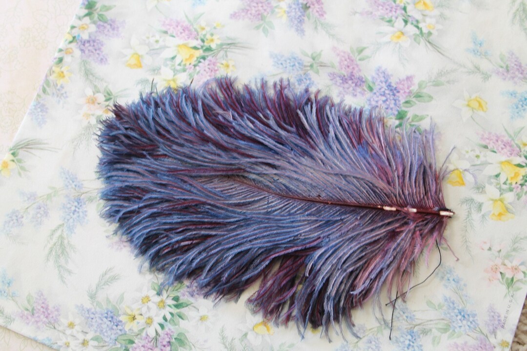 Doll Size Blue and Plum Colored Vintage Ostrich Plume Ideal for Doll's ...