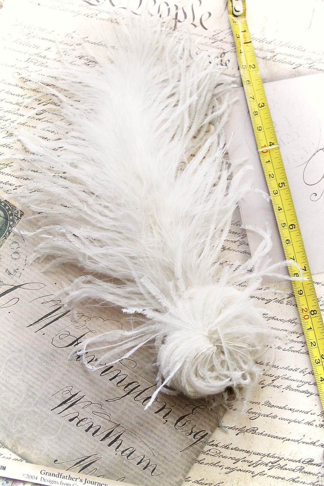Sweet Vintage Feather Plume Fluffy off White With Spiral or Knot ...