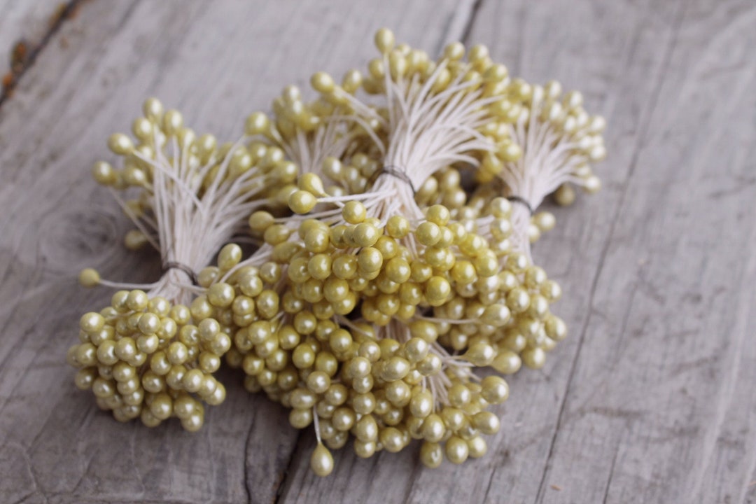 5 Bundles Pearl Like Pale Yellow Ivory Pips Peps Stamen for Millinery ...
