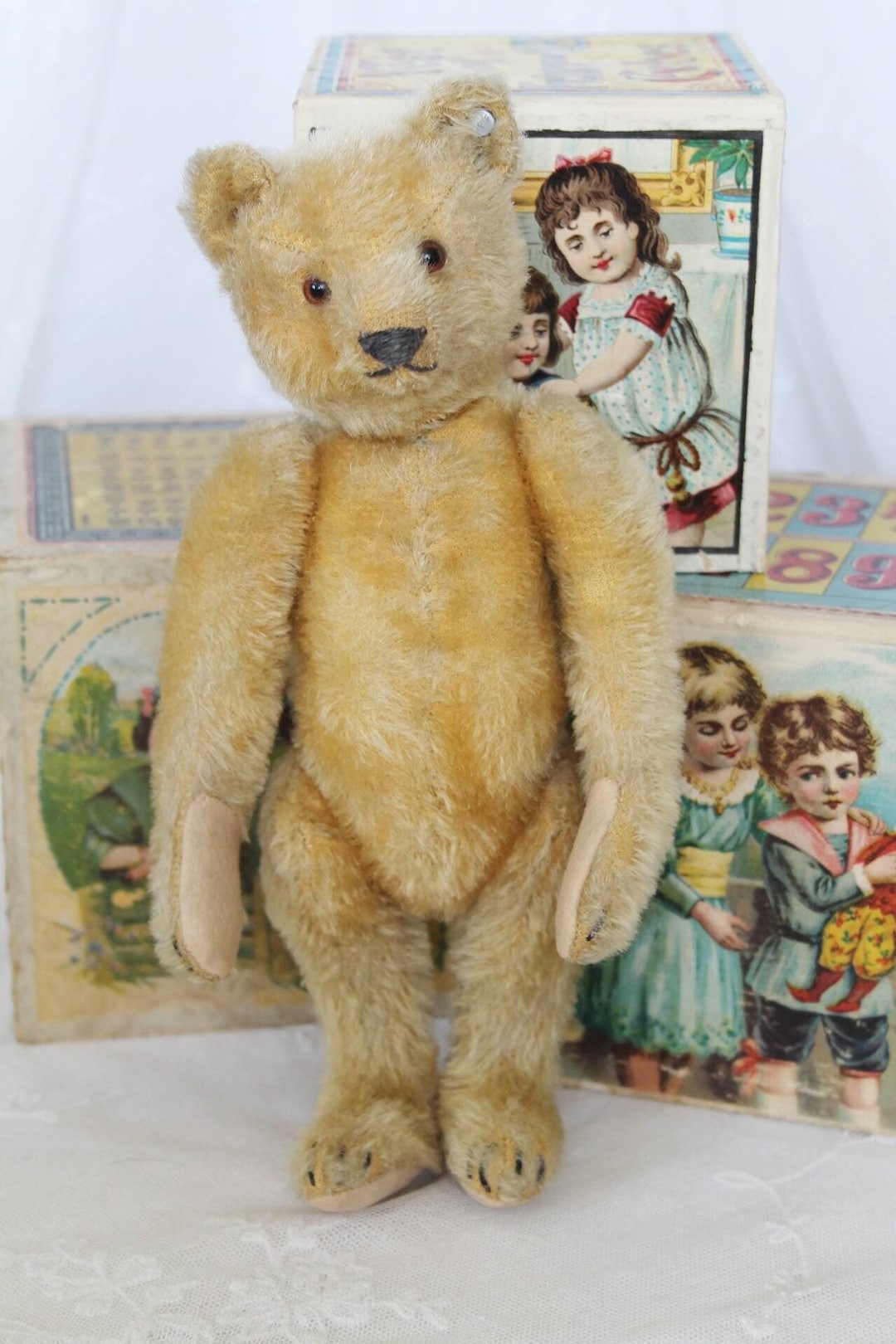 Fabulous Vintage Steiff Bear With Original Steiff Button in Ear - Etsy